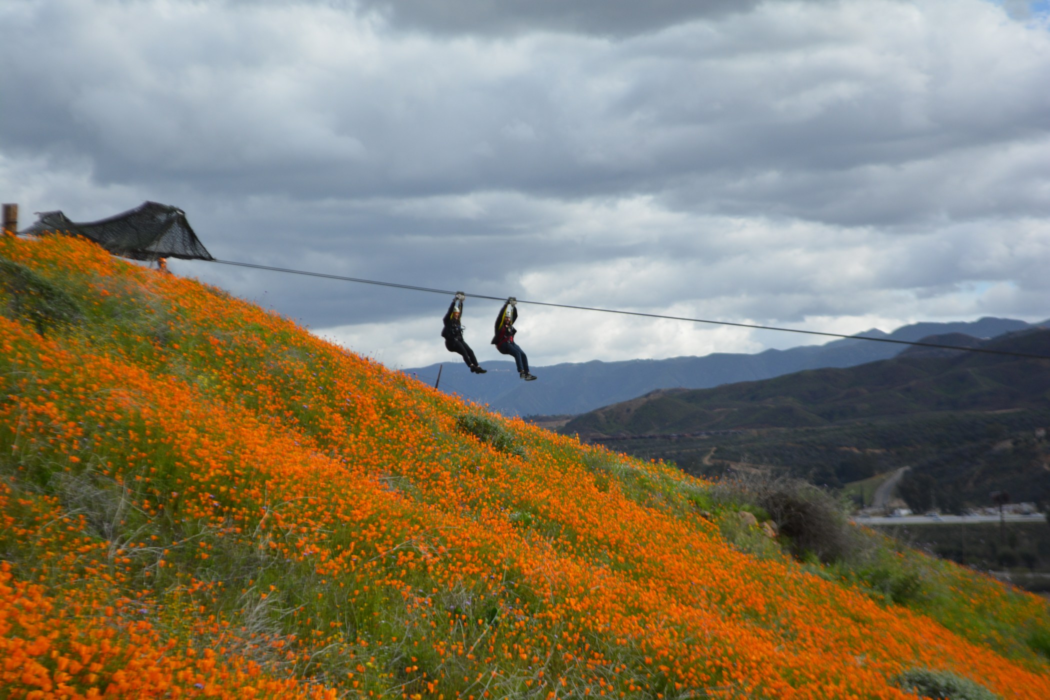 Staff | Skull Canyon Ziplines